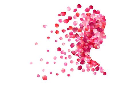 Inanimate Objects Bill Daniel Fletcher And Sally Suzy Bjørklund Experience A Near Miss In