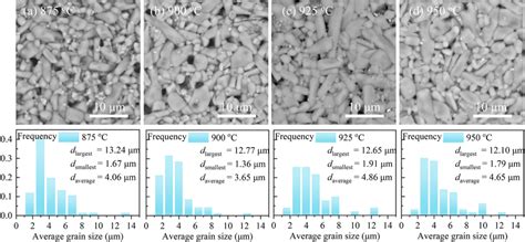 Sem Micrographs And Corresponding Distributions Of Grain Size Of Casio3