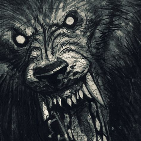 Black And White Werewolf