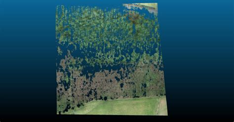 Lidar Survey Forestry Drone Scotland