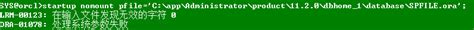 oracle spfile和pfile的区别，生成，加载和修复 csdn博客