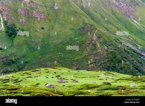 Nature View In Annapurna Conservation Area A Hotspot Destination For