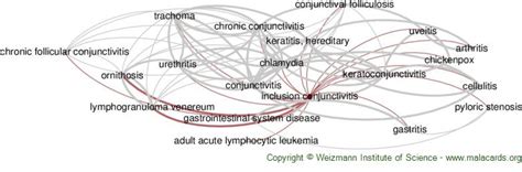 Inclusion Conjunctivitis Disease Malacards Research Articles Drugs