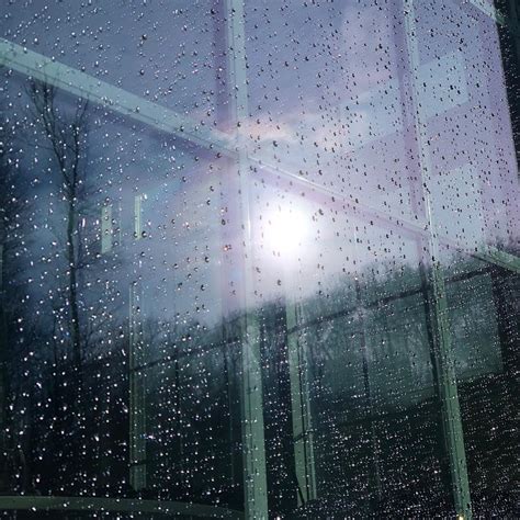 Window Ninjas Jaime S What A Wonderful Compliment You Gave Us You Said That When We Cleaned