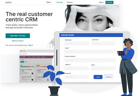 Odoo Crm Form Builder By Growform