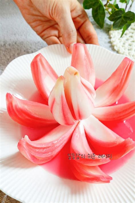 양파장아찌 소스 만들기 장아찌 비율 백종원 장아찌 담그는 법 양파장아찌 만드는 법 네이버 블로그