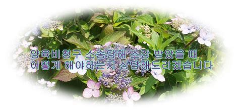 전남편이나 아내가 이혼할 때 양육비를 안받기로 했으나 양육비 청구소송해서 소장 받았을 때 답변서 제출 방법 감액 주장 방법 재판해서 심판문받는 방법 상담 ﻿양육비 청구