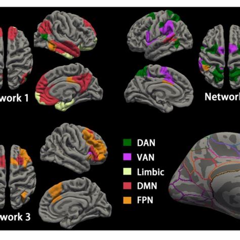 Cortical Networks During The Maintenance Phase And Accuracy Related