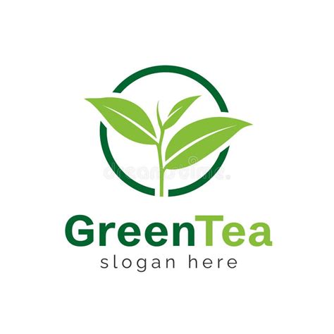Green Tea Logo Design Tea Leaf Vector Illustration Stock Vector