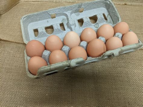 Pasture Raised Gmo Free Eggs Conoco View Dairy