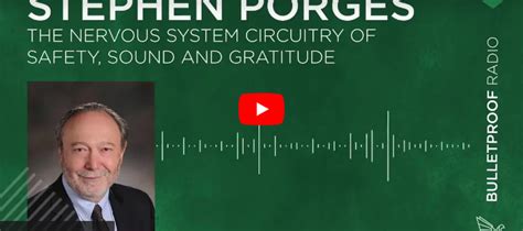 The Nervous System Circuitry Of Safety Sound And Gratitude Stephen