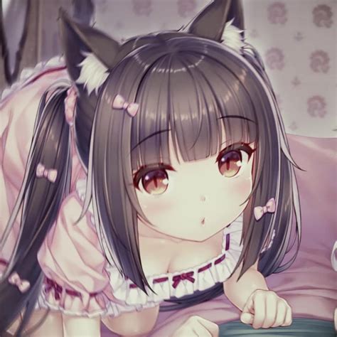 Ddlc X Nekopara Edit Nyan Cat Ddlcedit Ddlc Nyan Nekopara By
