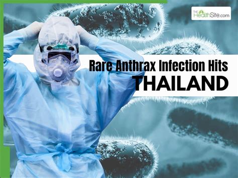 Anthrax Outbreak In Thailand Deadly Bacteria Returns After 30 Years