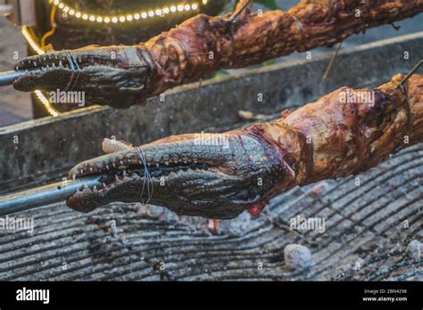 Alligator Steak