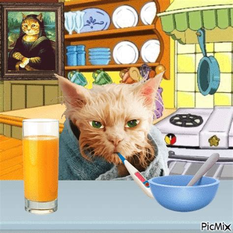 Sick Kitty 