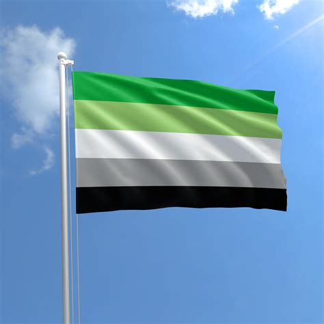 Aromantic Pride Flag Grand Rapids Pride Center