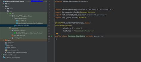Serenity Run Using Cucumber Tags Serenity Run Console Indicates Tests