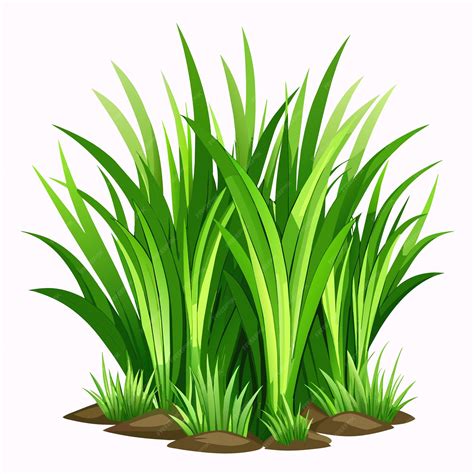 Premium Vector Grass 2d Vector Illustration