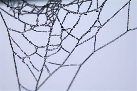 GitHub Mihirh Neural Network From Scratch Only Numpy