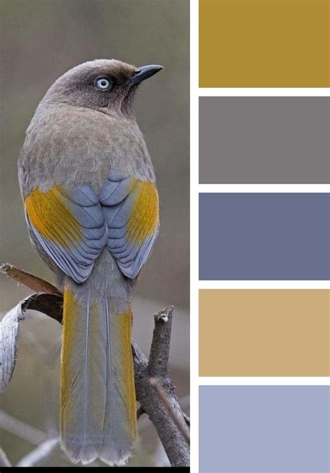 Цветовая палитра Цветовые решения Nature Color Palette Color Palette Color Palette Design
