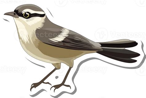 Une Détaillé Illustration De Une Petit Marron Oiseau 55383487 Png