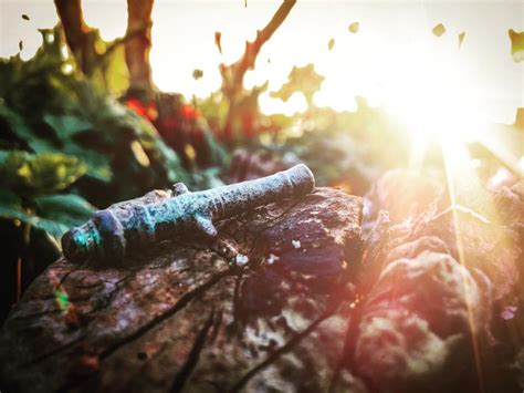 Dirt Fishin America I Love Finding These Georgian Era Toy Cannons