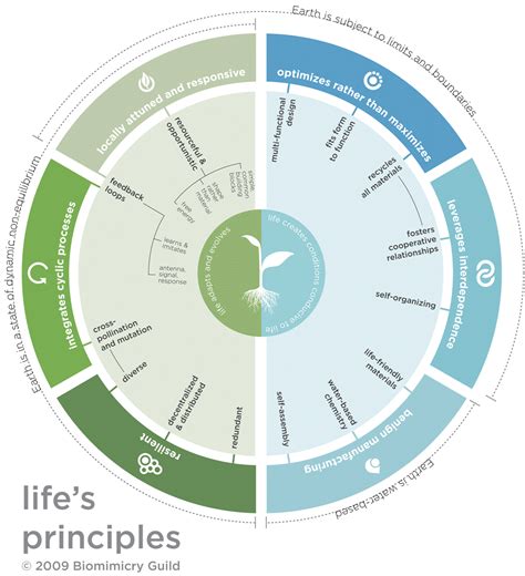 Biomimicry—lifes Principles Applying The Laws Of Nature Oregon