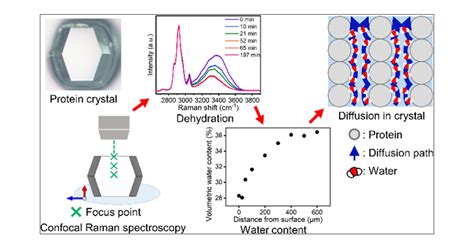 Diffusion Coefficient Of Intracrystalline Water In Intrinsic Hen Egg White Lysozyme Crystals