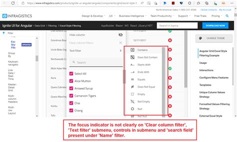 The Focus Indicator Is Not Clearly On Clear Column Filter Text