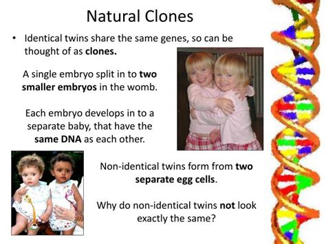 PPT Cloning PowerPoint Presentation ID 2756412