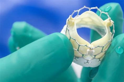 Structural Heart Procedures Endpoint Preclinical