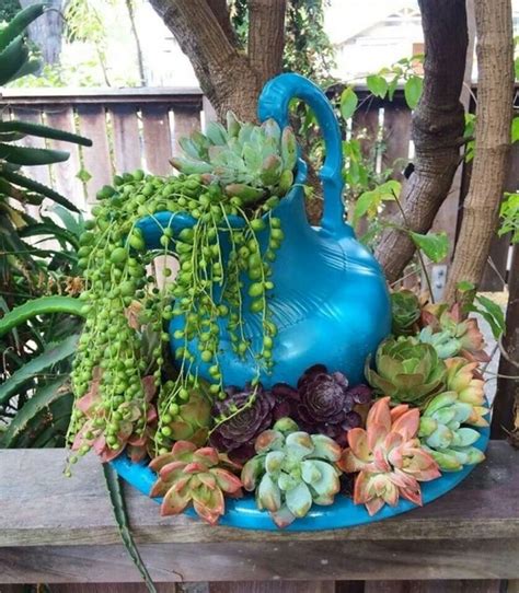Allwomenstalk Gardening Succulent Garden Diy Succulents Diy Diy