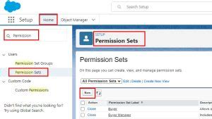 Create Permission Sets And Assign To Users In Salesforce