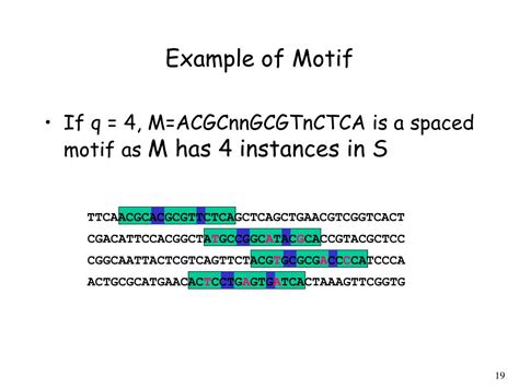 ppt discovery of biological motifs a bioinformatics research