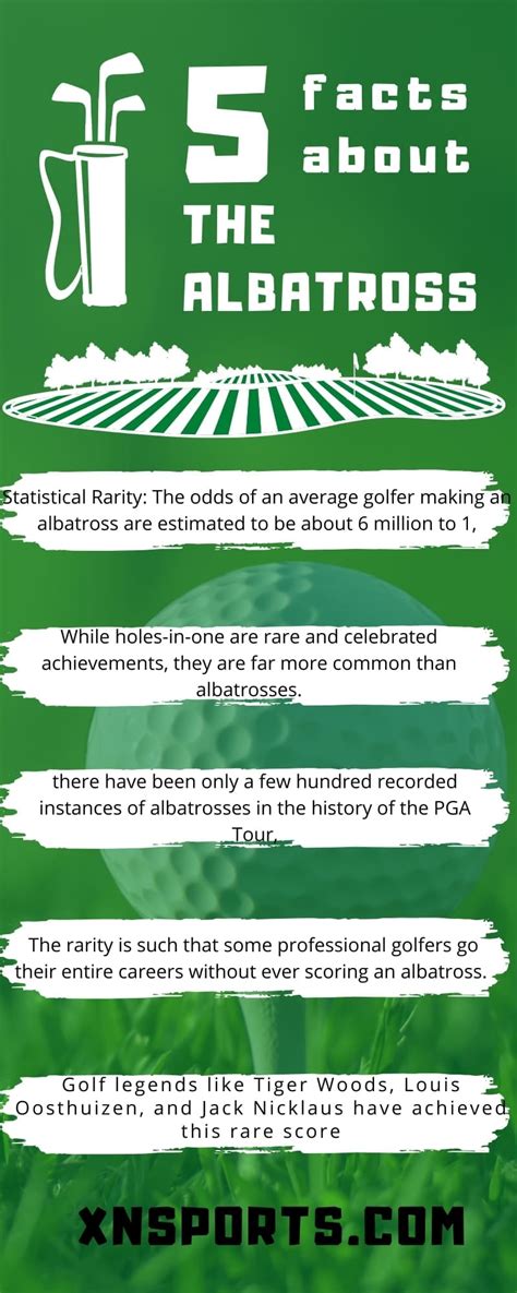 What Is An Albatross In Golf The Super Rare Score Explained