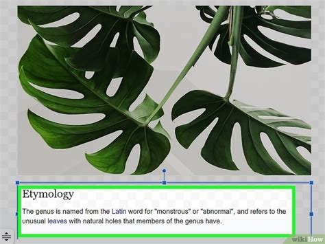 How To Add Captions To Images In Google Docs Simple Ways