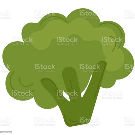 브로콜리 벡터 평면 아이콘입니다 건강에 좋은 음식 채식 비건 음식 만화 야채의 그림을 손으로 그립니다 0명에 대한 스톡 벡터 아트 및 기타 이미지 Istock