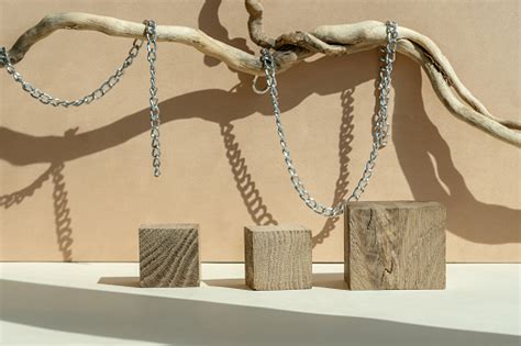 구성 빈 연단 재료 나무 돌 마른 꽃 제품 프리젠 테이션 배경 베이지색 천연 소재의 아름다운 배경 메이크업 화장품에 대한 스톡 사진 및 기타 이미지 Istock