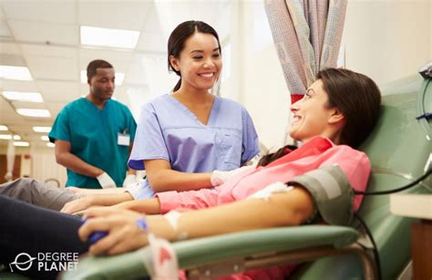 2025 Bsn To Dnp Programs Online No Gre