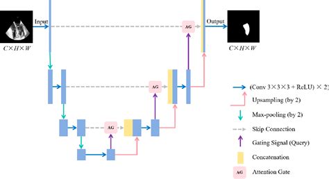 Figure 8 From Automatic Segmentation Of The Left Ventricle In Apical Four Chamber View On