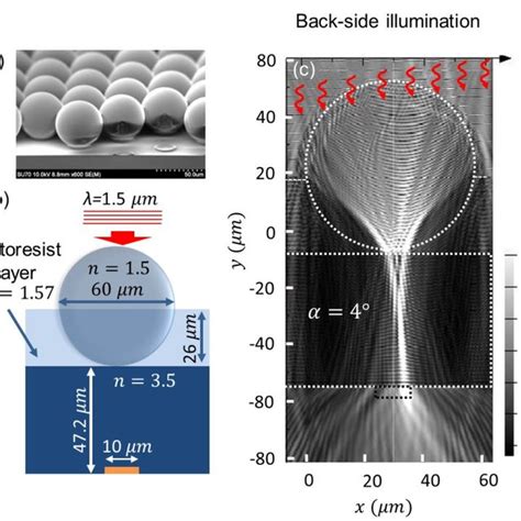 A Scanning Electron Microscope Sem Image Of Ordered Microsphere