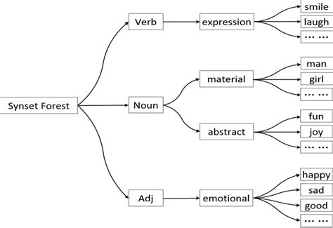A Rough Overview Of The Synset Forest In Textual Sentiment Perception