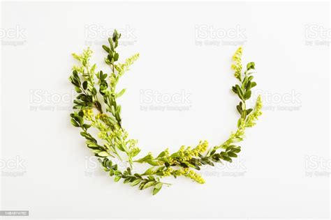 노란 꽃과 초록색 나뭇잎의 프레임은 텍스트를 위한 장소와 함께 있다 간단한 플랫 레이 0명에 대한 스톡 사진 및 기타 이미지