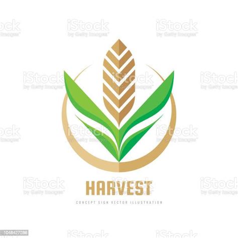 추수개념 사업 서명 서식 파일 벡터 일러스트 레이 션입니다 밀 형상 크리에이 티브 기호입니다 추상 농업 기호입니다 그래픽 디자인 요소입니다 개념에 대한 스톡 벡터 아트 및