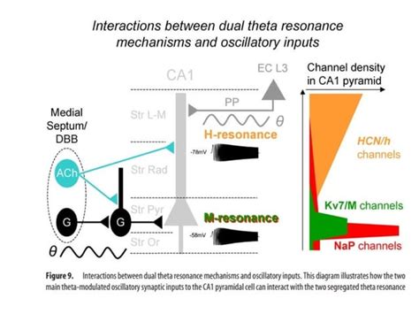 Integration Modified N Cellular 98pptx