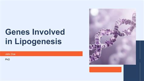 Genes Involved In Lipogenesis Ppt Summary Acp