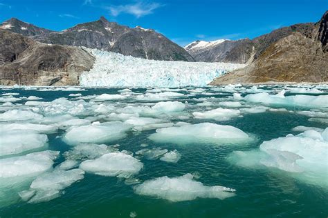 5 Expert Tips For Photographing Alaskas Wildlife Ncl Travel Blog