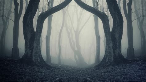 Spooky Background ·① Download Free Awesome High Resolution Wallpapers For Desktop And Mobile