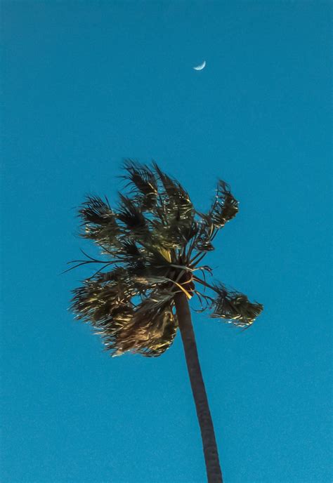 산티아고 순례길 준비 2 프랑스 파리에서 생장피에드포르 가는 방법 및 예약 꿀팁 네이버 블로그