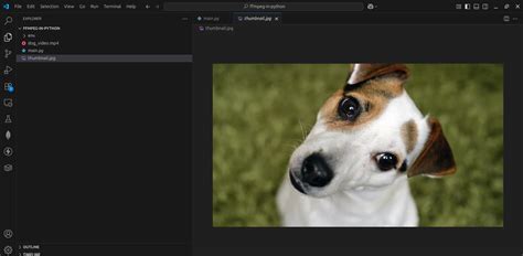 A Beginners Guide To Ffmpeg In Python Cloudinary